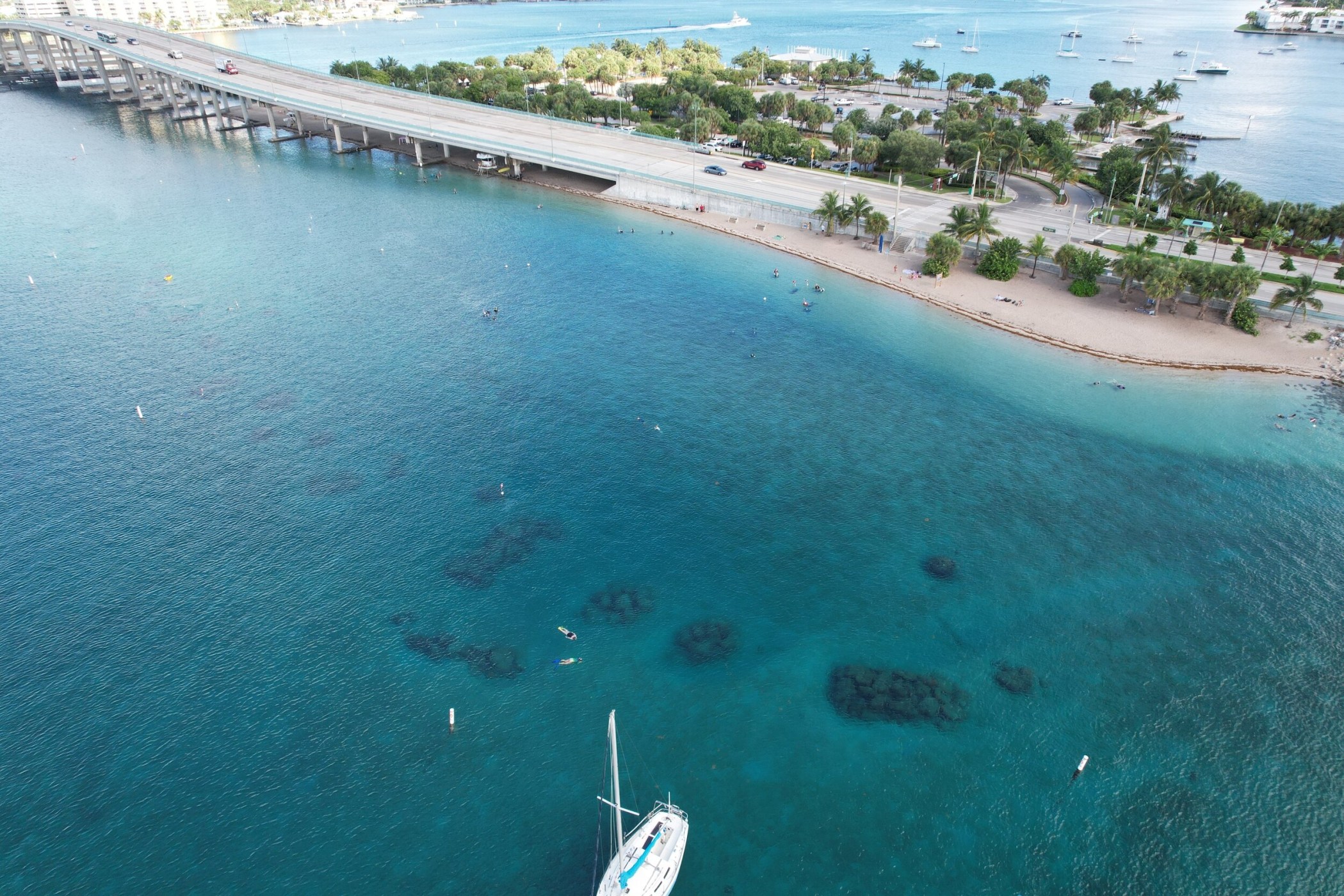 Blue Heron Bridge | Live Free Diving