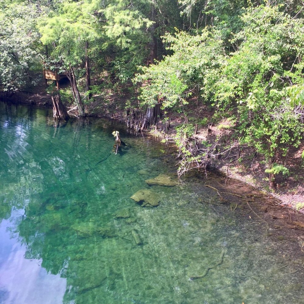 Royal Springs | Live Free Diving