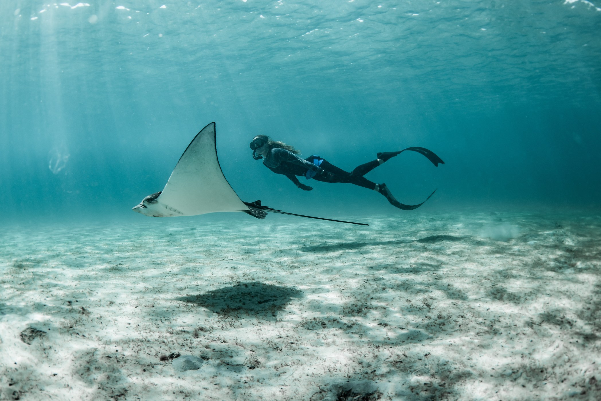 Live Free Diving | Freediving Training & Ocean Experiences Palm Beach