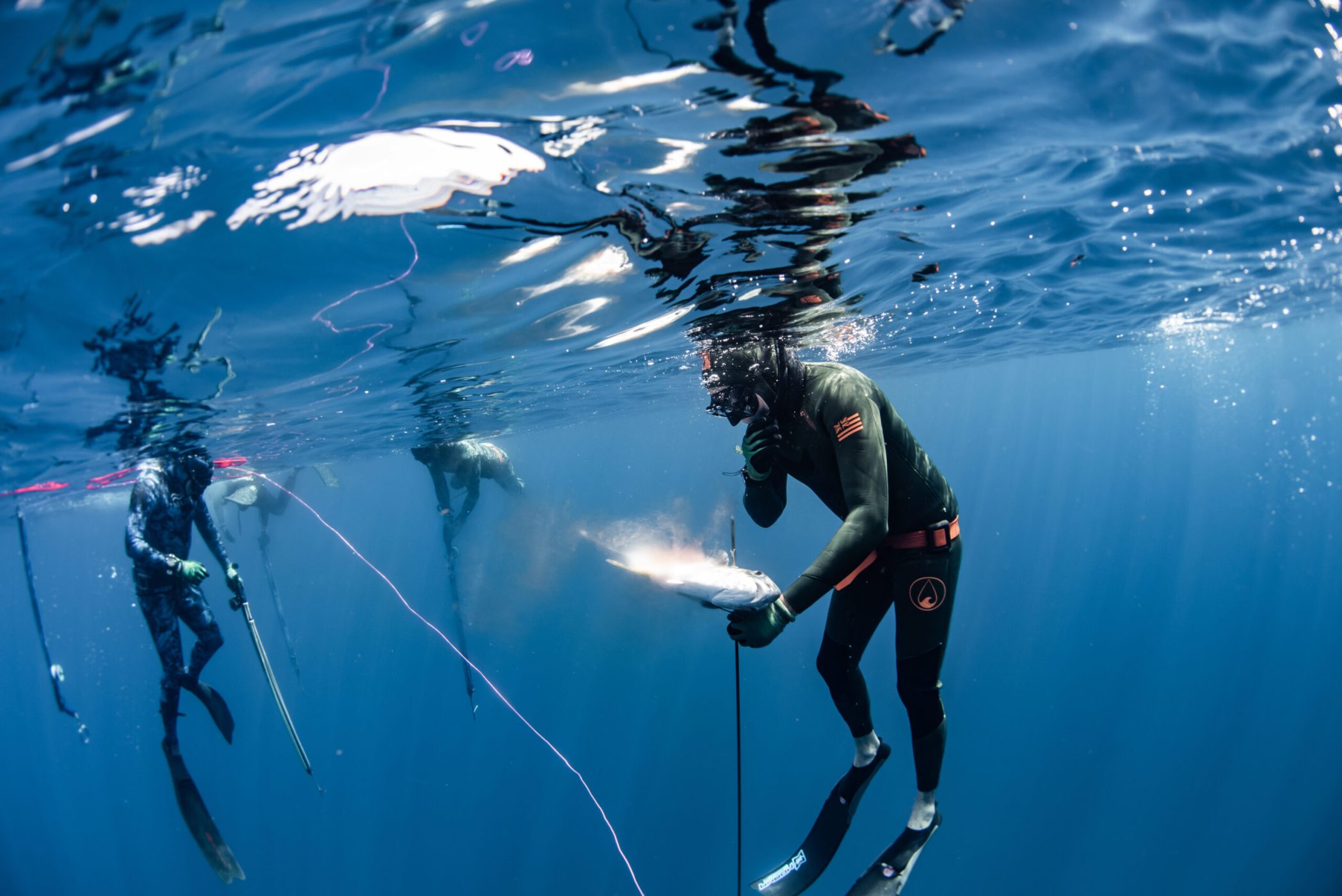 Spearfishing Charter | Live Free Diving