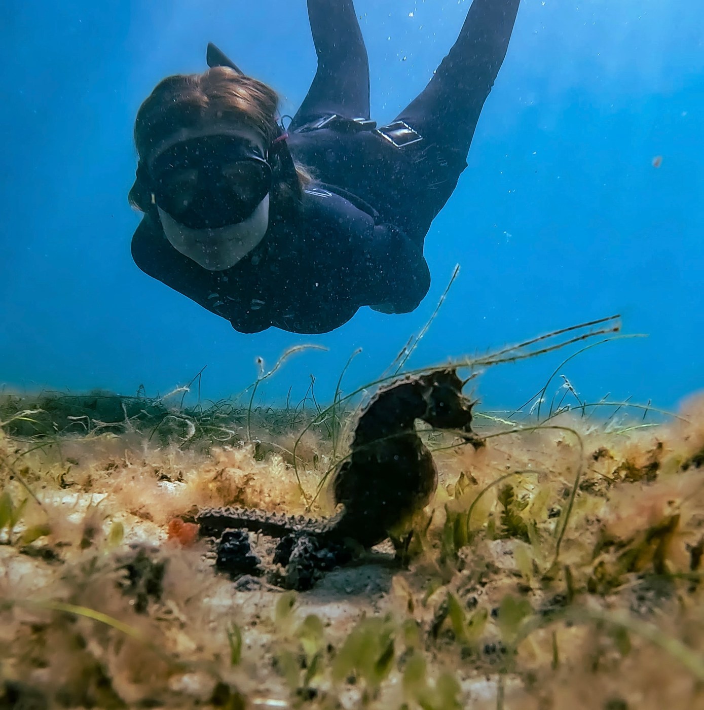 What Gear do I Need to Start Freediving? | Live Free Diving