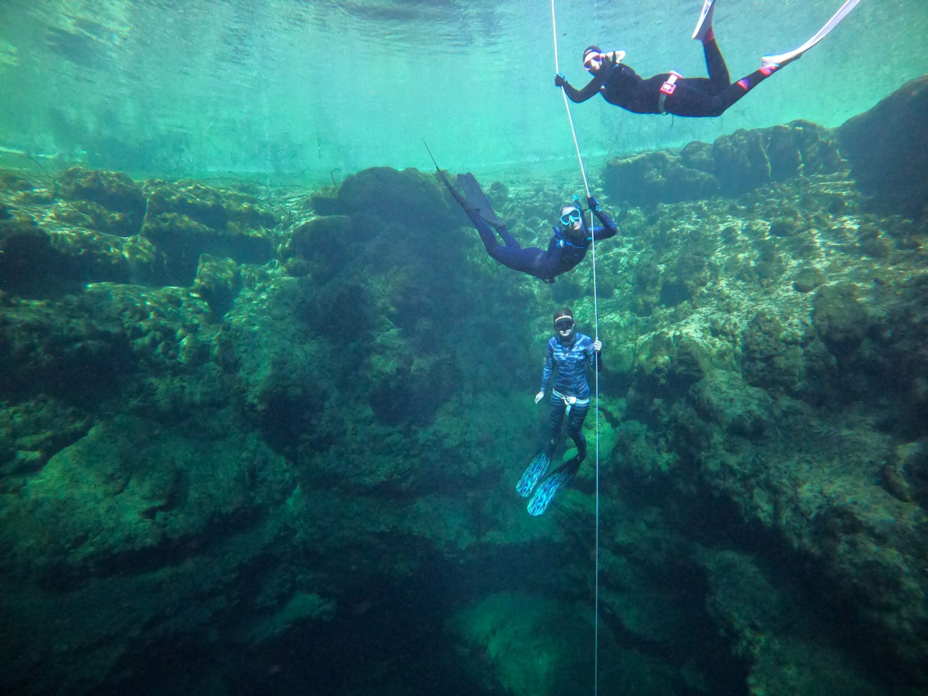 Gallery | Live Free Diving