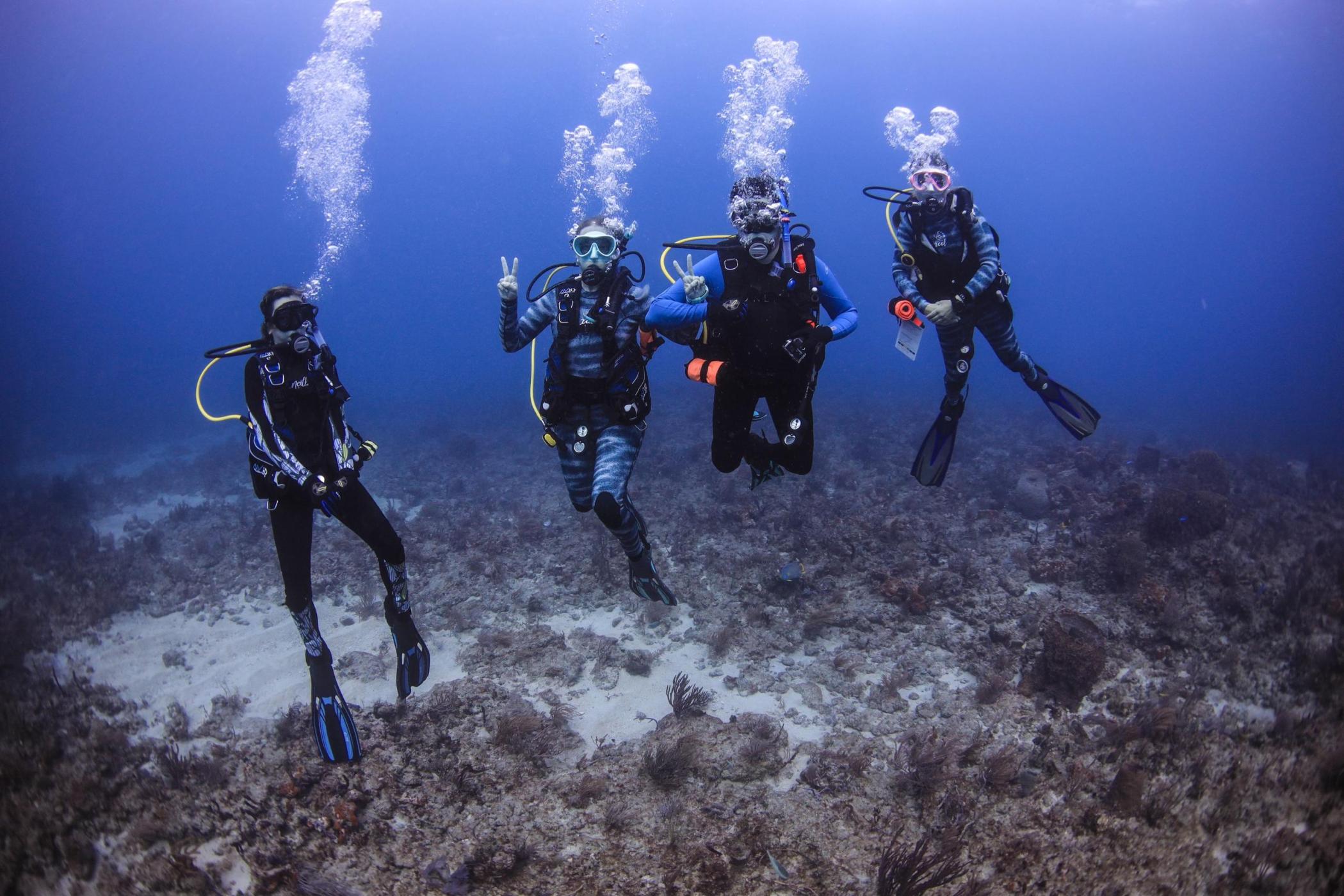 PADI Advanced Open Water SCUBA Course | Live Free Diving
